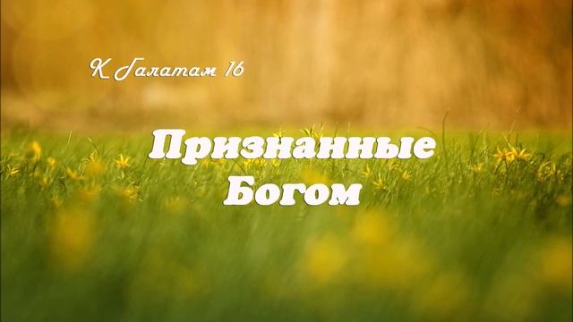 16. ПРИЗНАННЫЕ БОГОМ_ к Галатам_пастор Ли Ги Тэк_ церковь "Сонрак", Миссионерский центр "Сонрак"