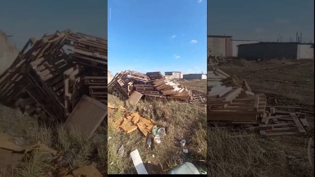 Дрова на зиму #shorts