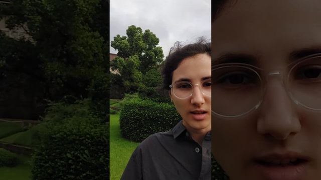 Елизавета Ванеян приглашает на курс «Искусство Японии»