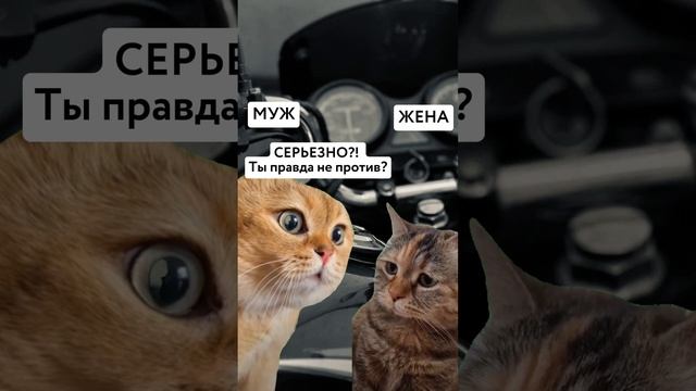 Дорогая, я хочу купить мотоцикл!| Мотонаставник | Загаринский