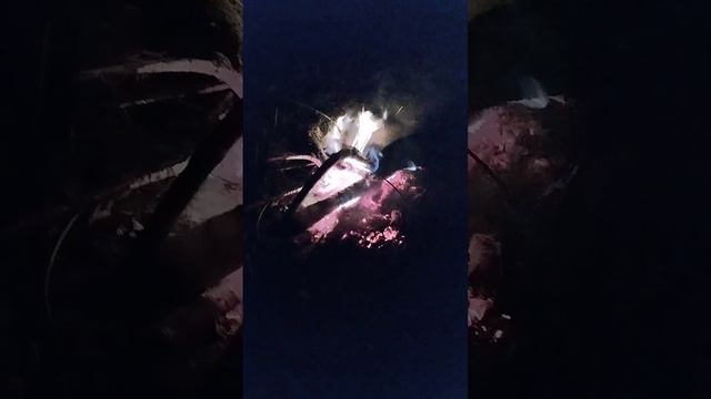 анекдот на рыбалке