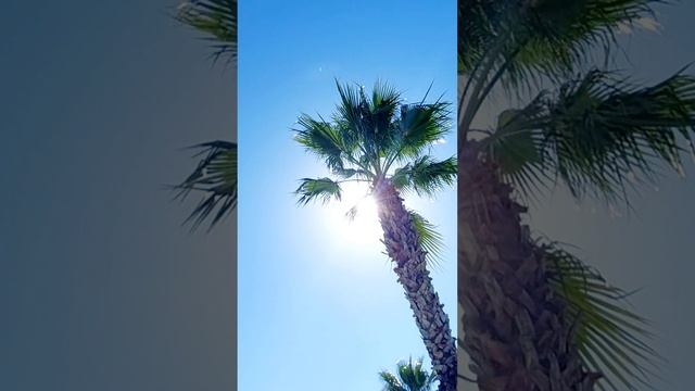 Отдых в Сочи. Добавь мечты!  .mp4