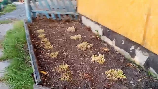 Пока погода позволяет!