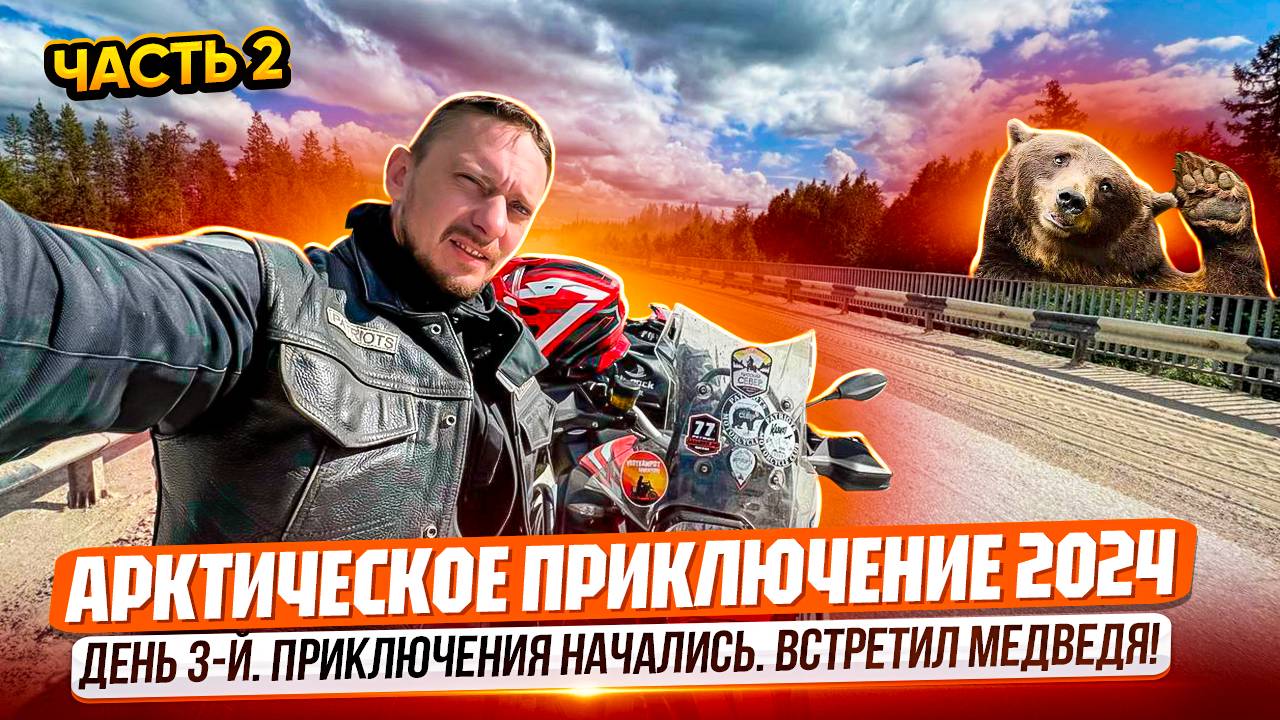 ДОРОГА В УСИНСК: Как я чуть не ПОТЕРЯЛ КОФР и ВСТРЕТИЛ МЕДВЕДЯ!