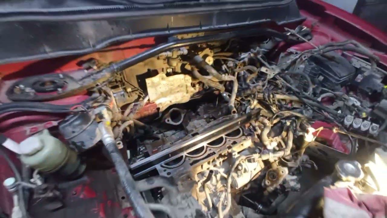 Хелп!Мне нужен помощник!