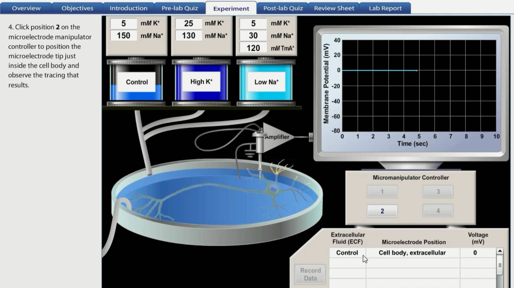 Измерение мембранного потенциала покоя (МПП). 3 семестр. Тема 6. Работа 3