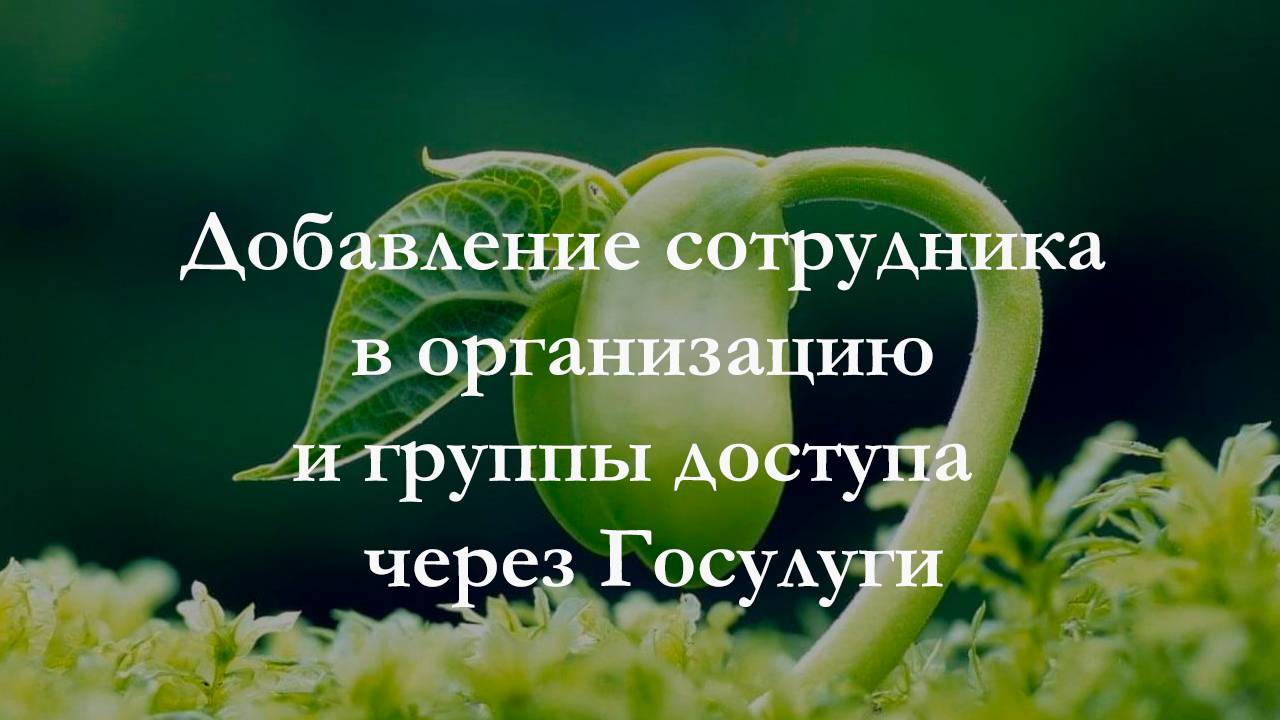 Добавление сотрудника и настройка контролей доступа для ЛК РПН через госуслуги