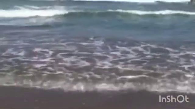 Языковой  лагерь в Анапе