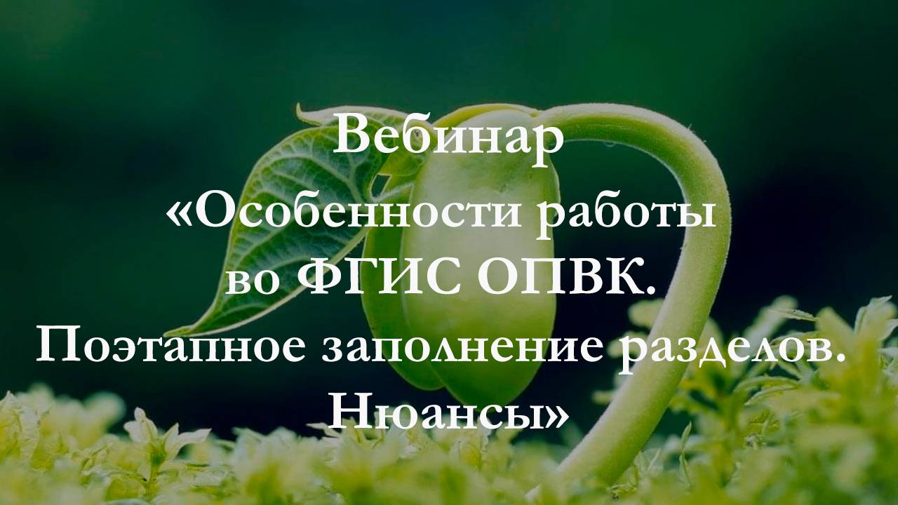 Особенности работы во ФГИС ОПВК. Поэтапное заполнение разделов. Нюансы