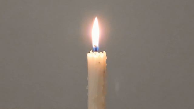 Биодинамика - инь и ян