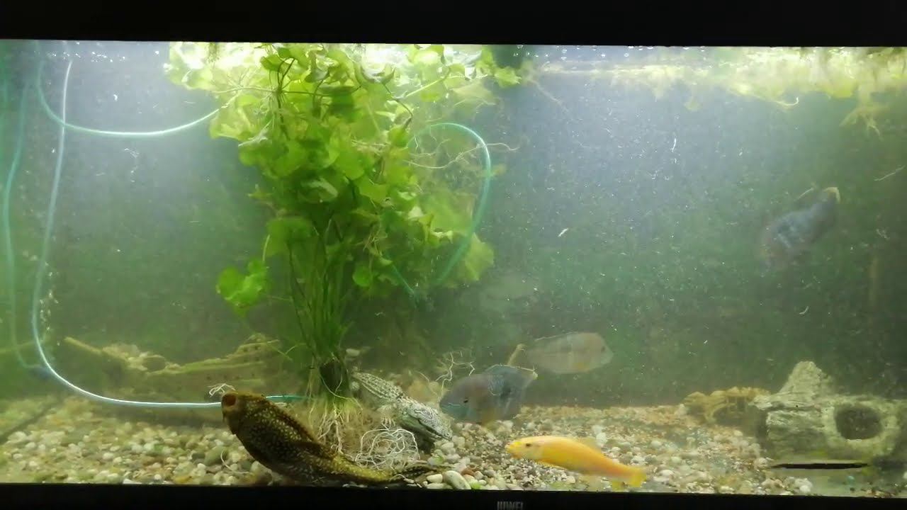 После шторма