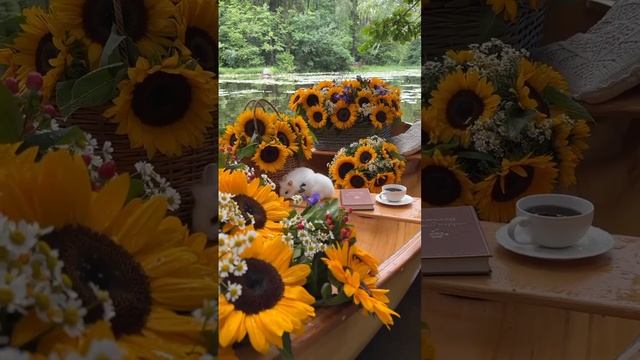 Кролик в подсолнухах