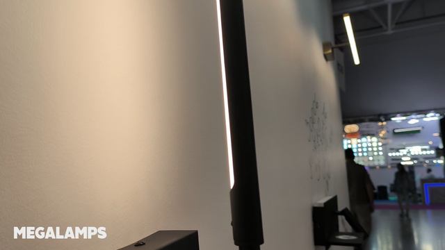 Kink light Прани