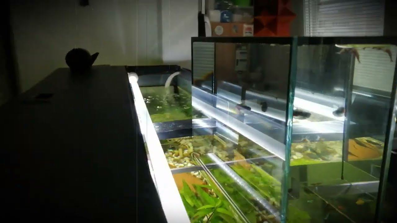 Феномен воды