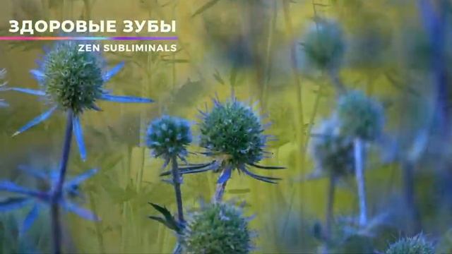 Здоровые и крепкие зубы. Восстановление зубов (Версия 2.0 Relax). Скрытые аффирмации. Саблиминал.