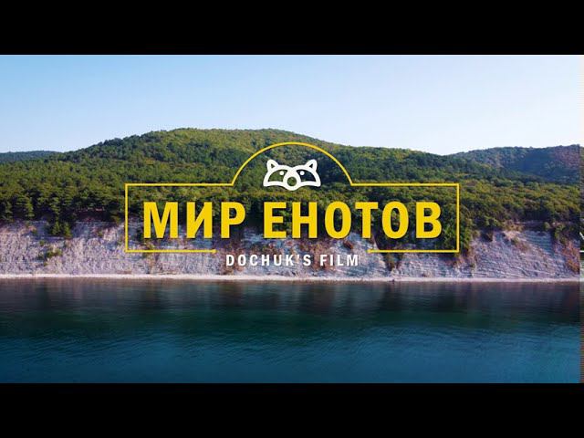 Путешествие в мир енотов. Волшебный кемпинг на берегу черного моря