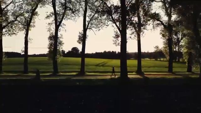 Прогулка в лесу