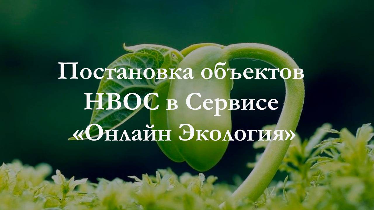 Постановка объектов НВОС в Сервисе "Онлайн Экология"