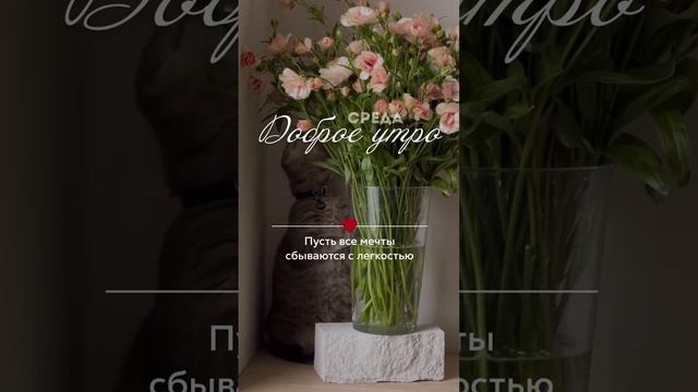 Кот и букет