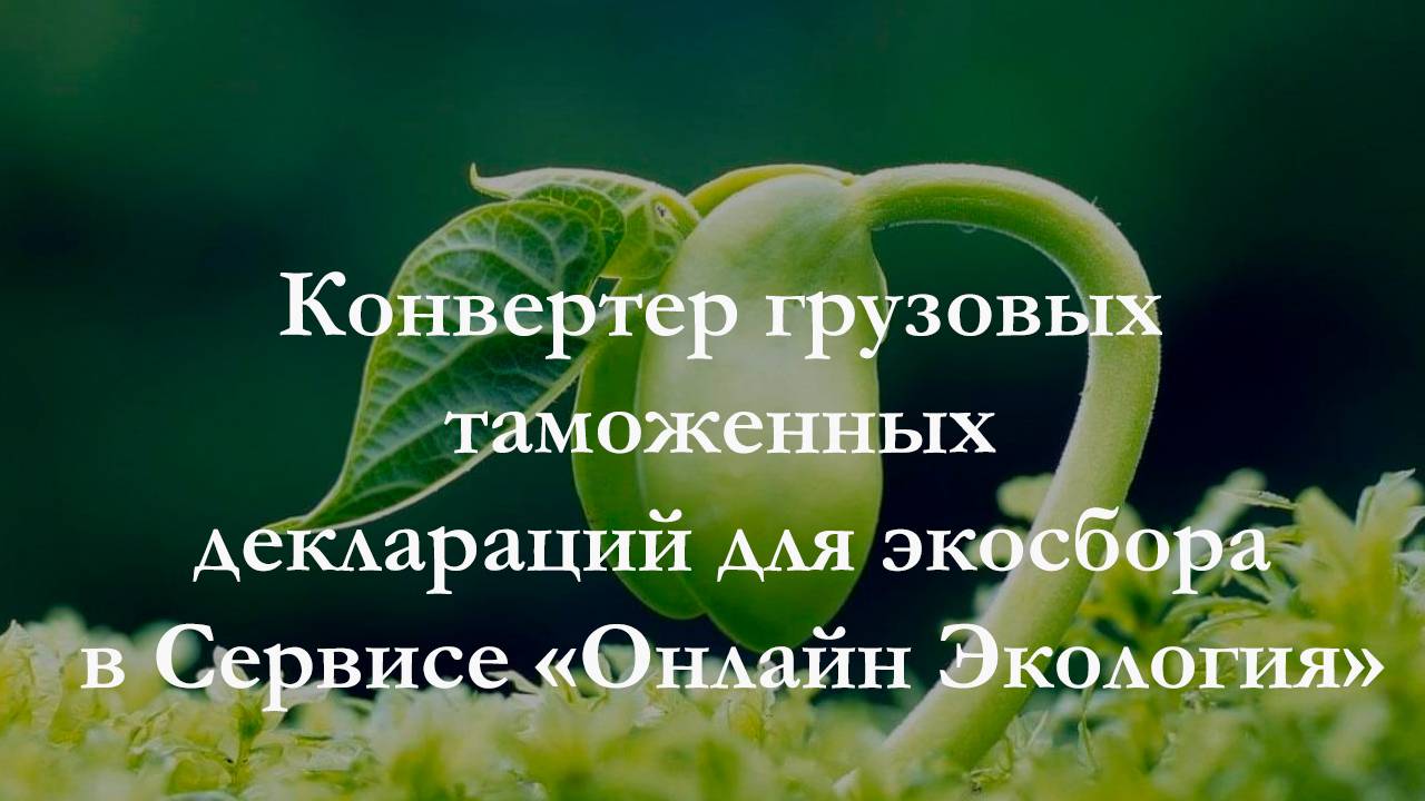 Конвертер грузовых таможенных деклараций (ГТД) для формирования отчетности по экосбору