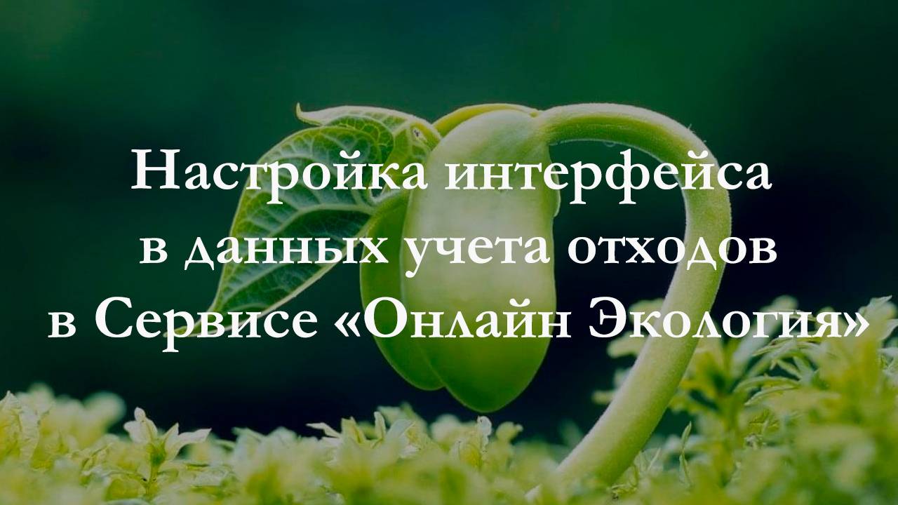 Настройка интерфейса в данных учета отходов в Сервисе