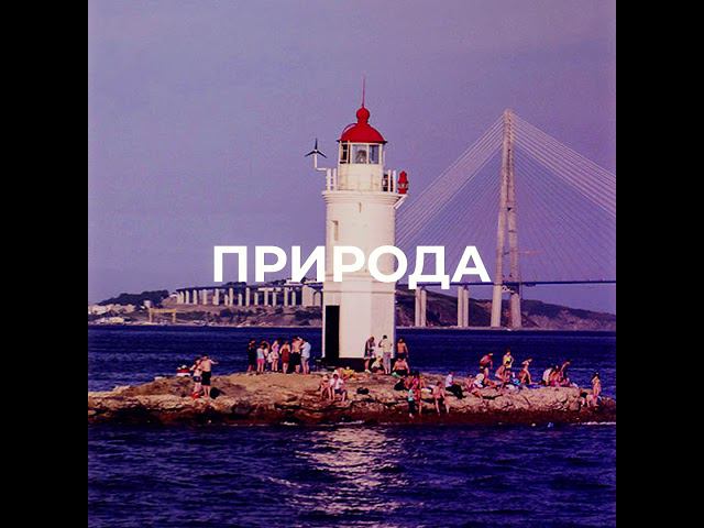 Аренда катера Владивосток
