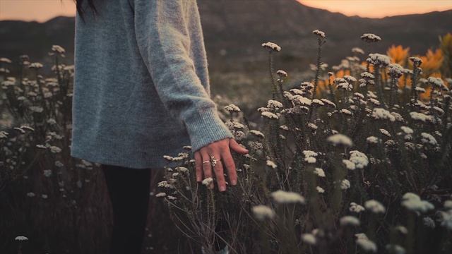 'Volkslied' 'Солнце'