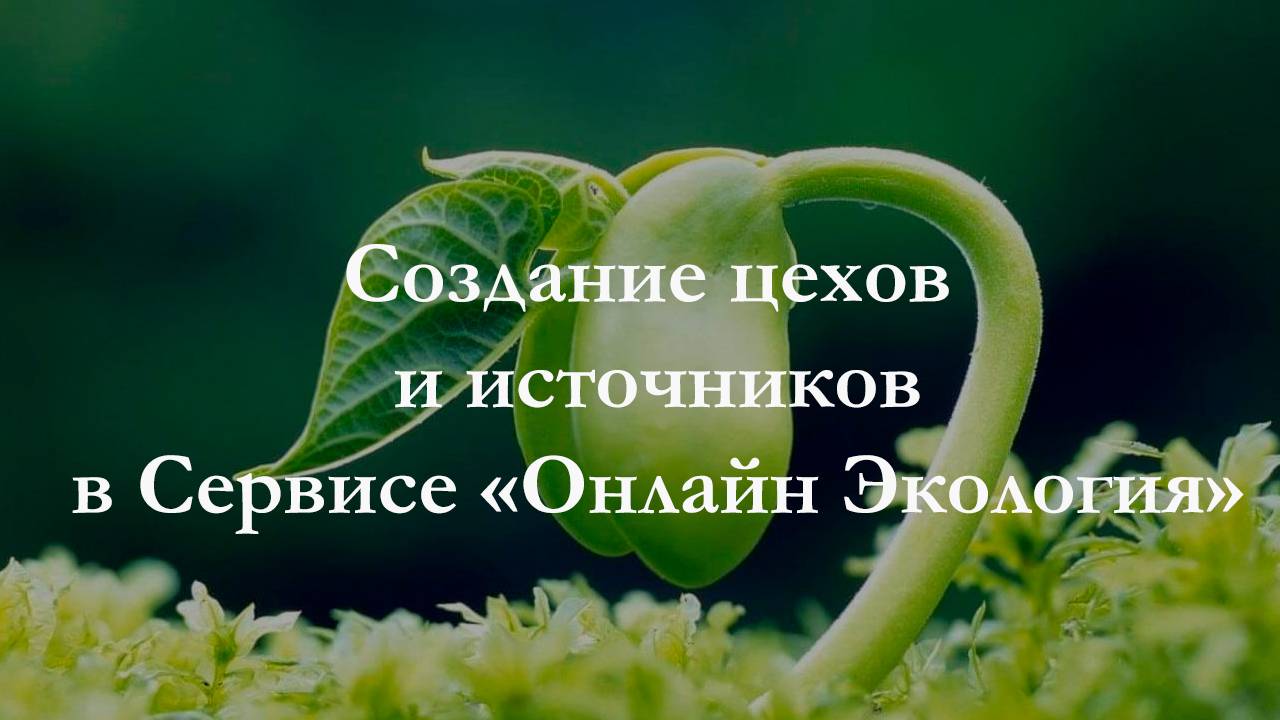 Создание цехов и источников в Сервисе "Онлайн Экология"