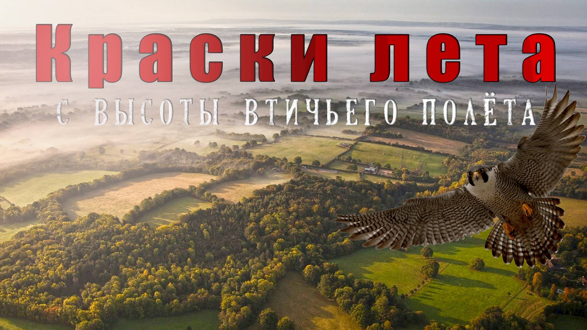 Краски лета. Родные просторы. Пейзажи Воронежской области.