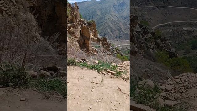 Вид на горы