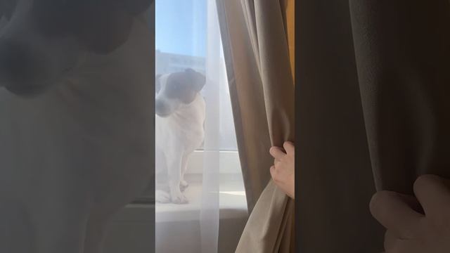 кто тут спрятался