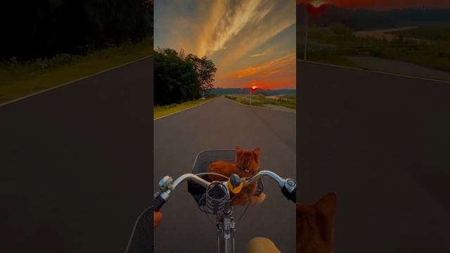 Дорога в закат