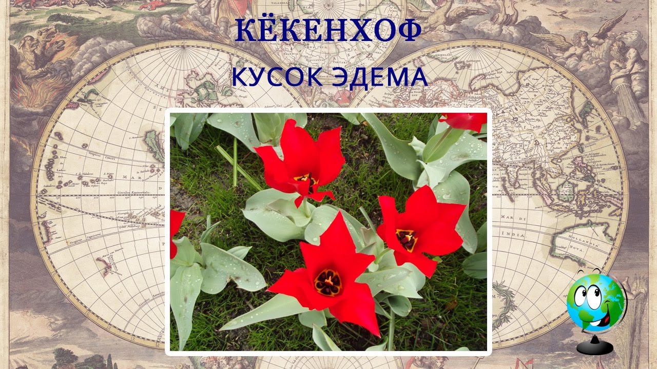 Кёкенхоф:  Кусок Эдема