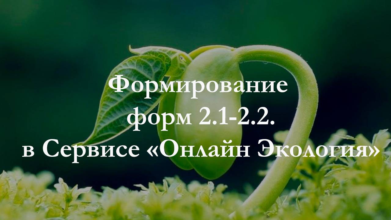 Формирование форм 2.1-2.2 в Сервисе "Онлайн Экология"