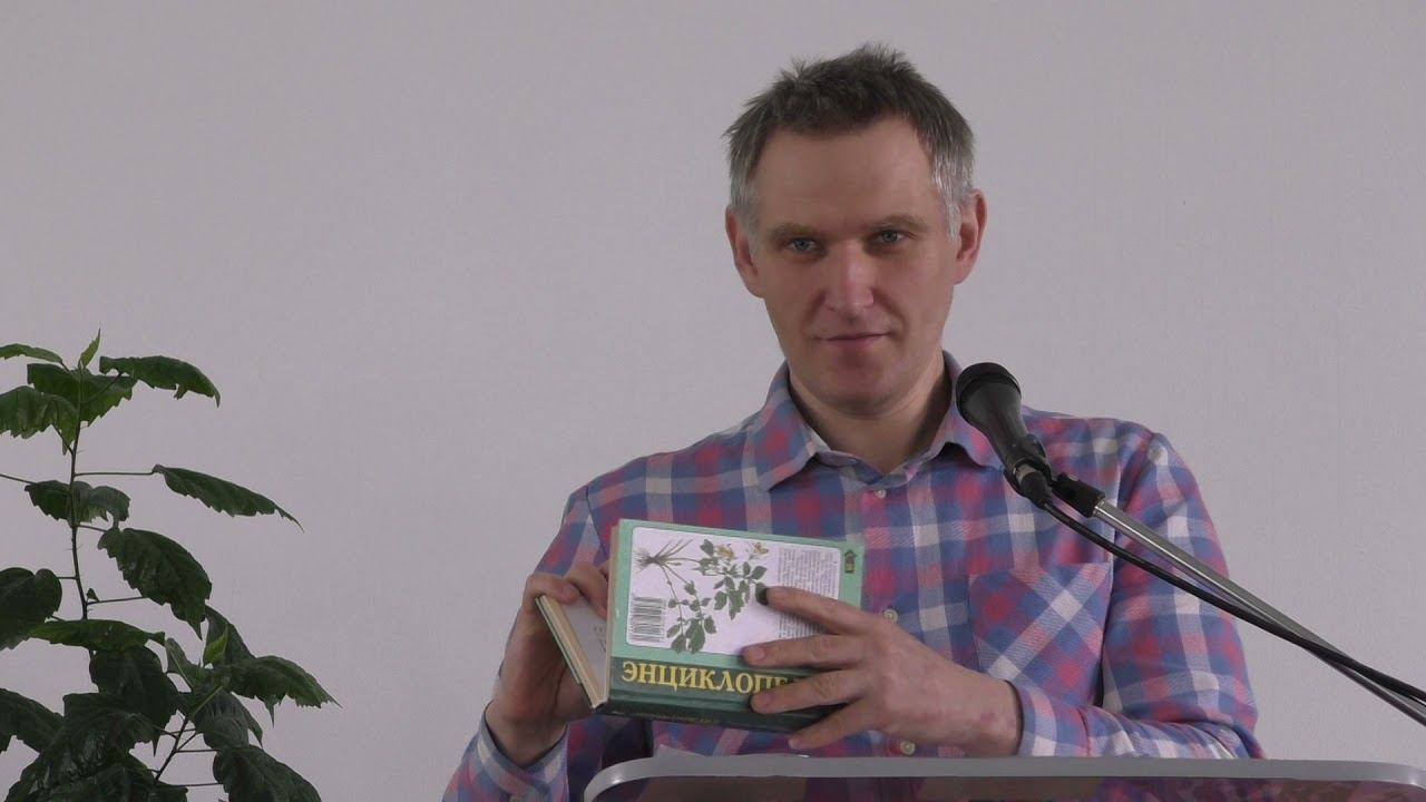 Минутка здоровья. Какие травы лечат печень. Шлоков Сергей