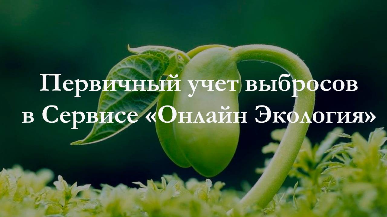 Первичный учет выбросов в Сервисе "Онлайн Экология"