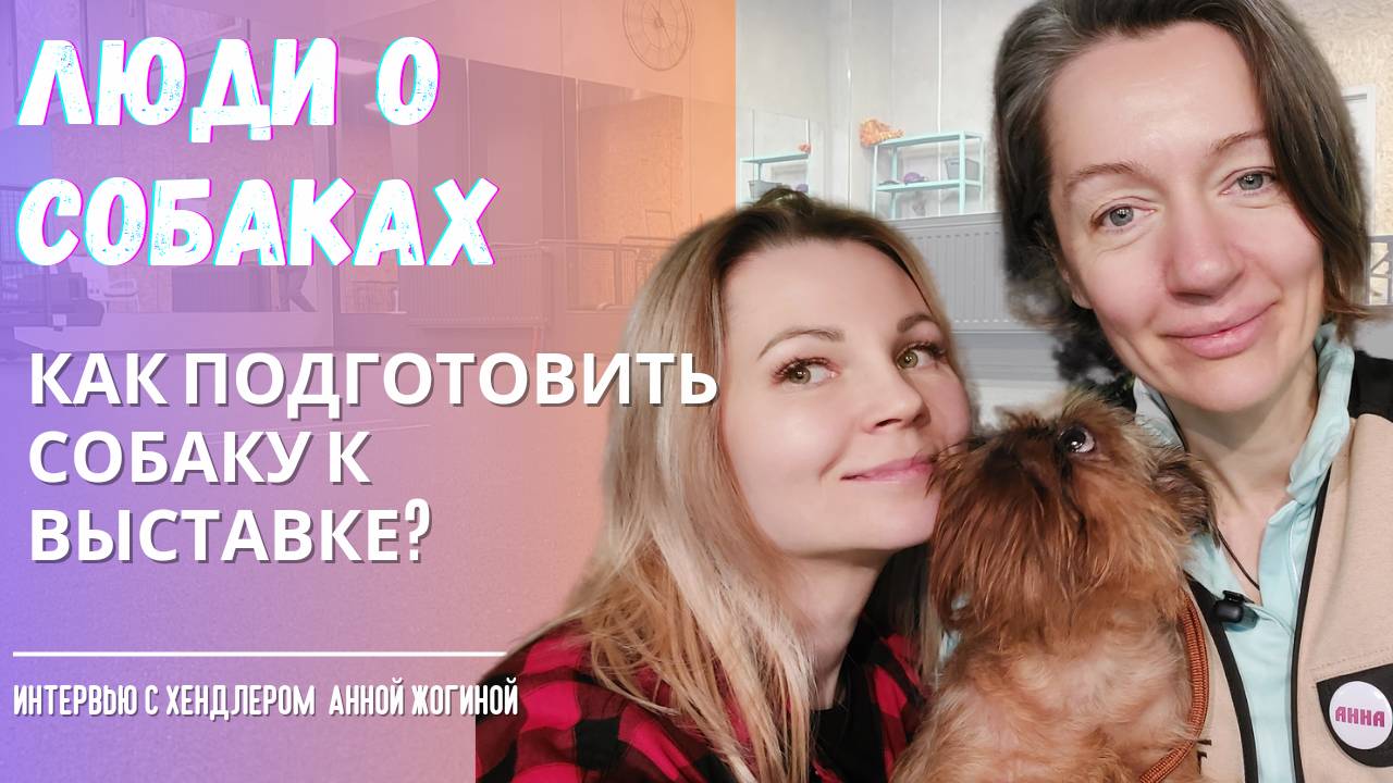 Как подготовить собаку к выставке самостоятельно? | Интервью с хендлером Анной Жогиной