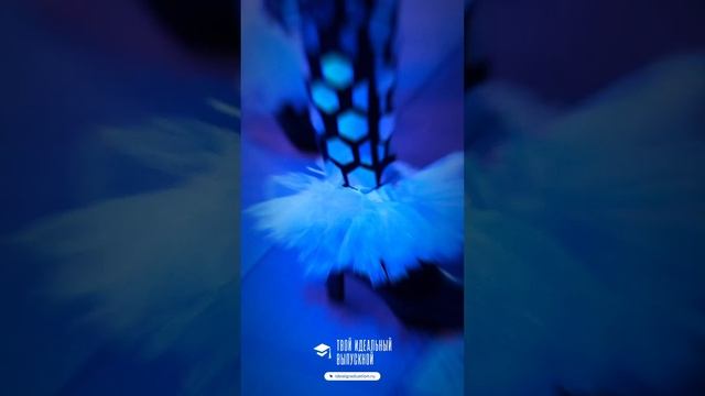 Незабываемое шоу-программа на выпускной в Москве от GO SHOW!