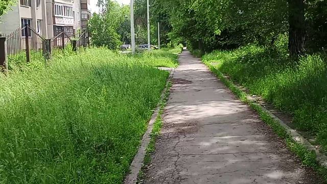 VID_20240622_104800