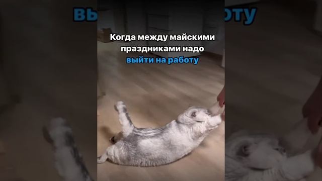 Работа в майские праздники