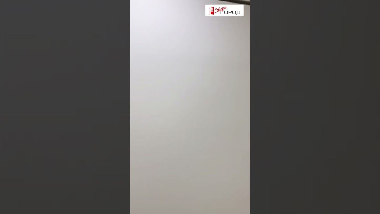 Дверь межкомнатная ПДТ 4101 чёрная кромка Аляска суперматовая dvergorod.ru #shorts