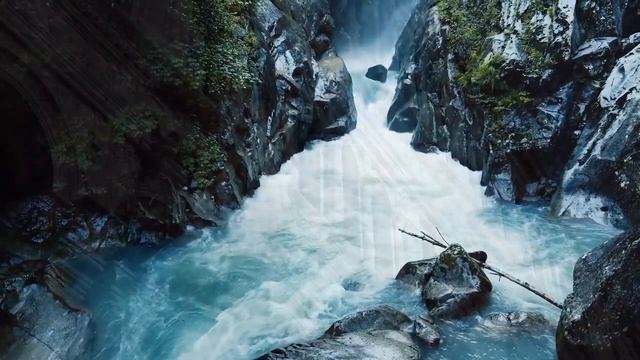 Зачем ты Адриатике такой? - Александра Скребкова-Тирелли, читает Дмитрий Днепровский