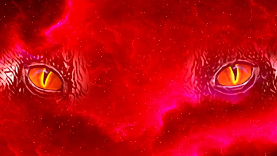 Панда в гостях - 3