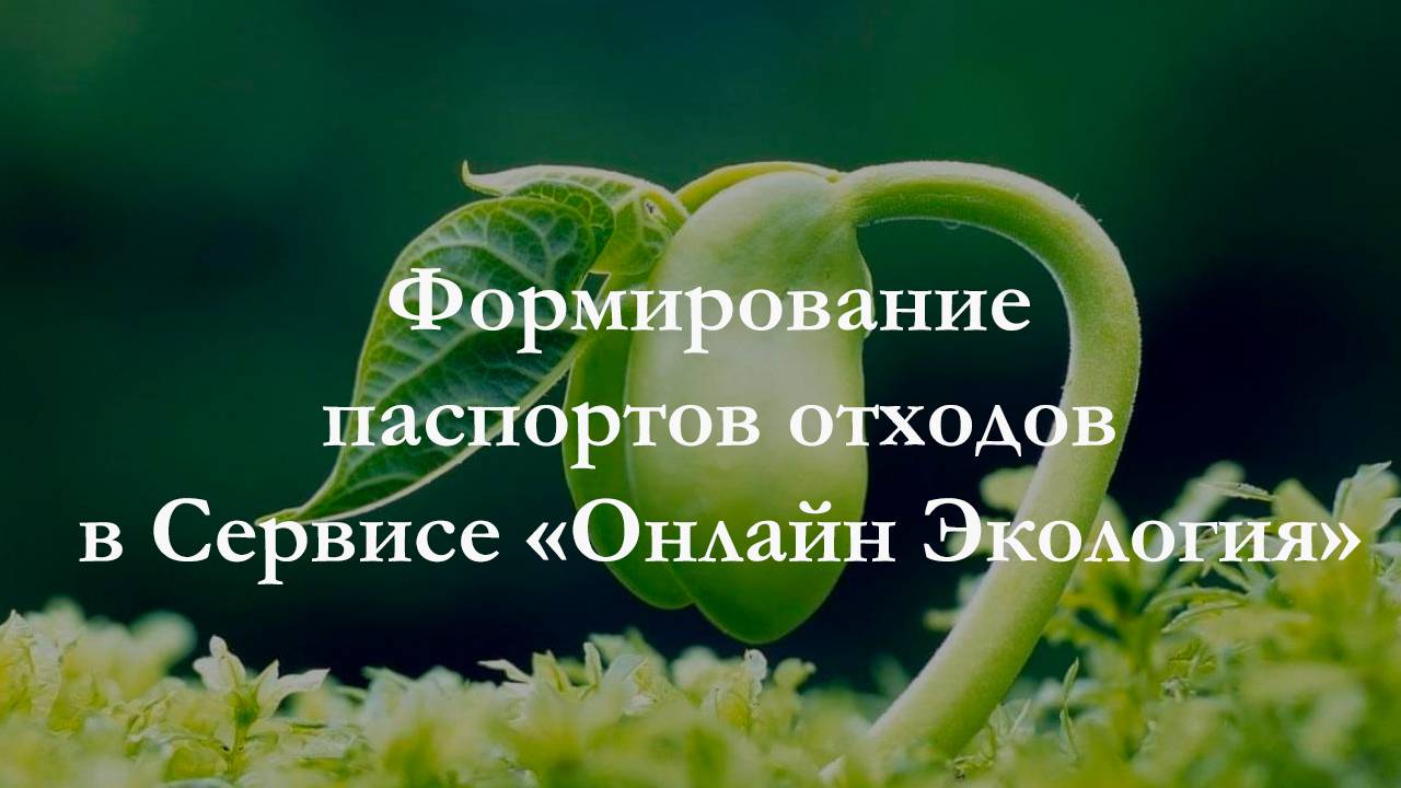 Создание паспортов отходов Сервисе "Онлайн Экология"