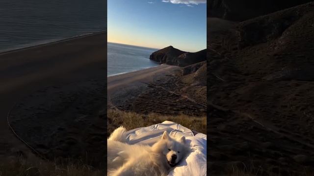 Сладкий сон на берегу