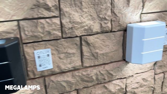 Citilux CLU0731 + CLU0730