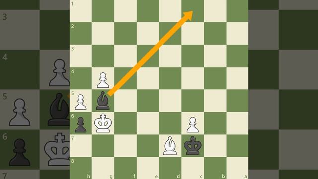 117. Разноцветные слоны в эндшпиле