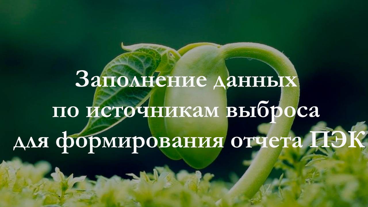Инструкция по формированию отчета о результатах ПЭК в Сервисе "Онлайн Экология"