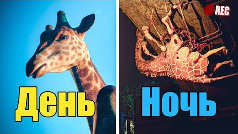 НОЧЬЮ ТУТ ПРОИСХОДИТ ЧТО ТО СТРАННОЕ ｜ ZOOCHOSIS #1