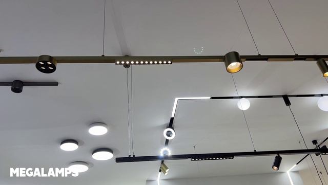 Denkirs Трековая Система SHINE